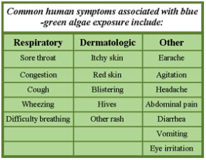 Timnath Reservoir - Town of Timnath