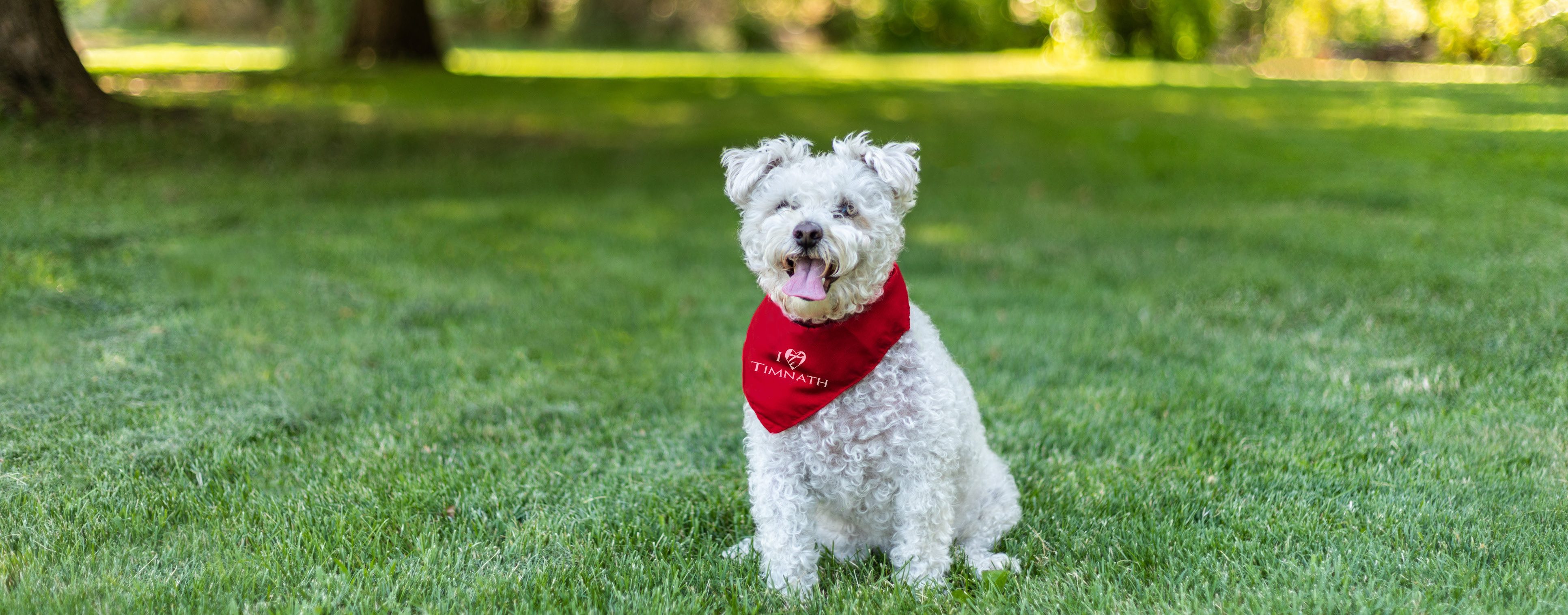 Do You Love Timnath? - Town of Timnath